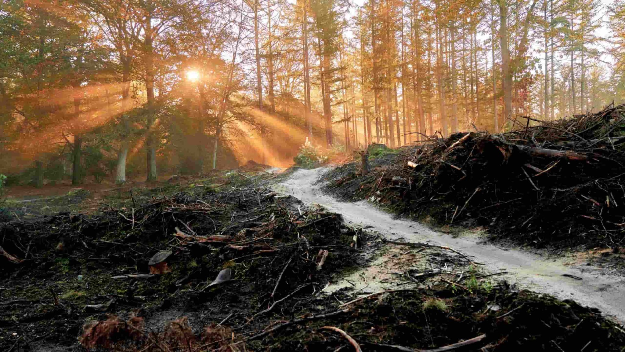 Leusden, een dorp met vele gezichten | Groeten uit Leusden
